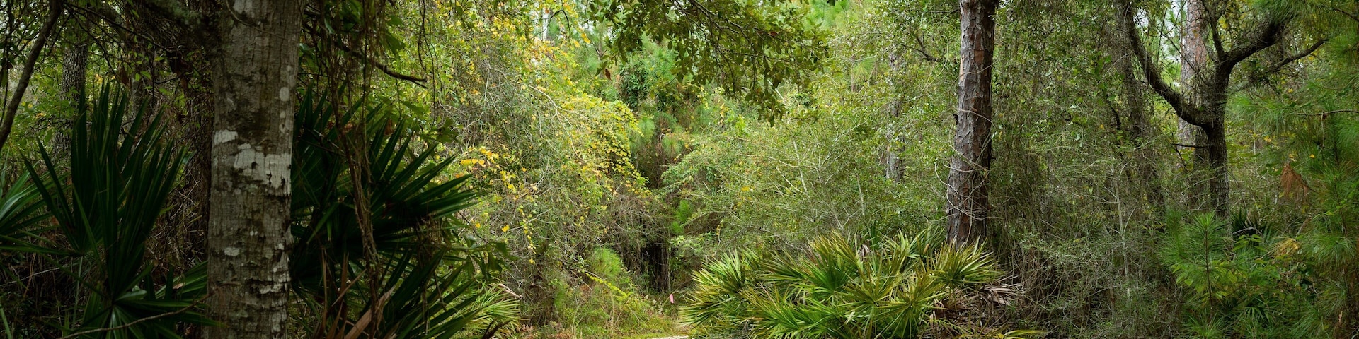 Bon Secour National Wildlife Refuge showing a garden