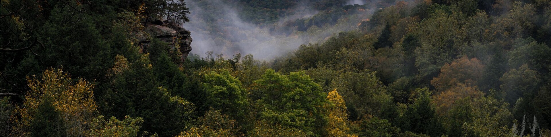 Upper rim trail.....with color!