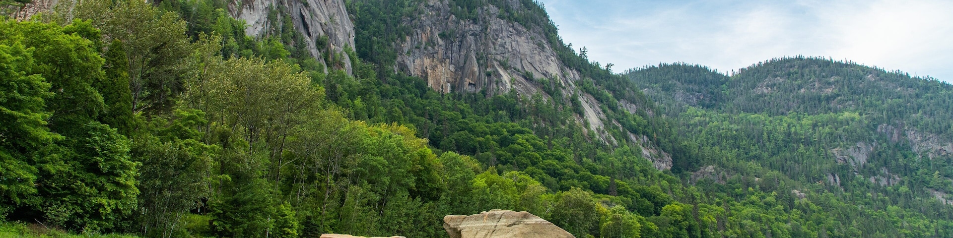 Um rio com grandes pedras em um vale arborizado, com montanhas ao fundo.
