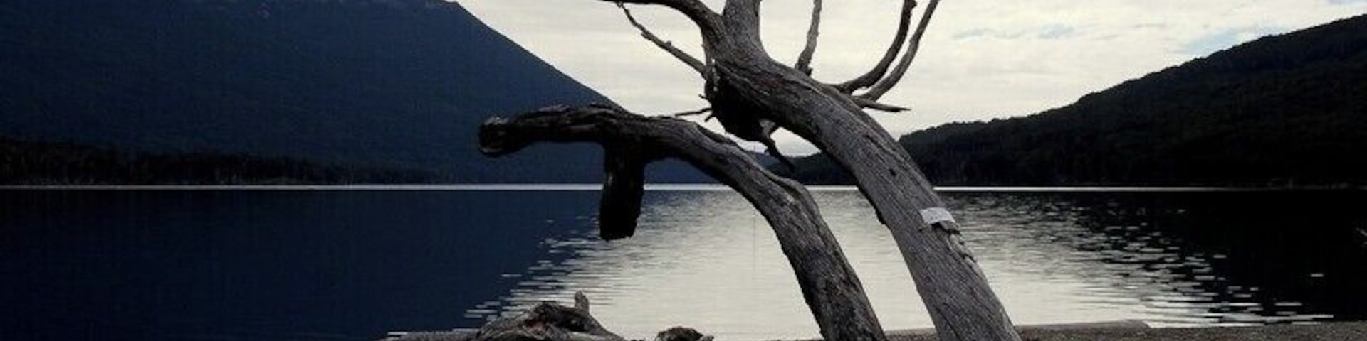 #Ushuaia #TierraDelFuego #GreatOutdoors #Nature
Lago Escondido
Dizem que uma imagem vale mais do que mil palavras, mas, no caso da Terra do Fogo, nem mil imagens conseguem mostrar toda a beleza que aqui encontrei. É necessário ver, sentir e respirar toda esta região.
Hidden lake
People say that a picture is worth a thousand words, but in the case of Tierra del Fuego, not a thousand images can show all the beauty that I found here. It is necessary to see, feel and breathe the whole region.