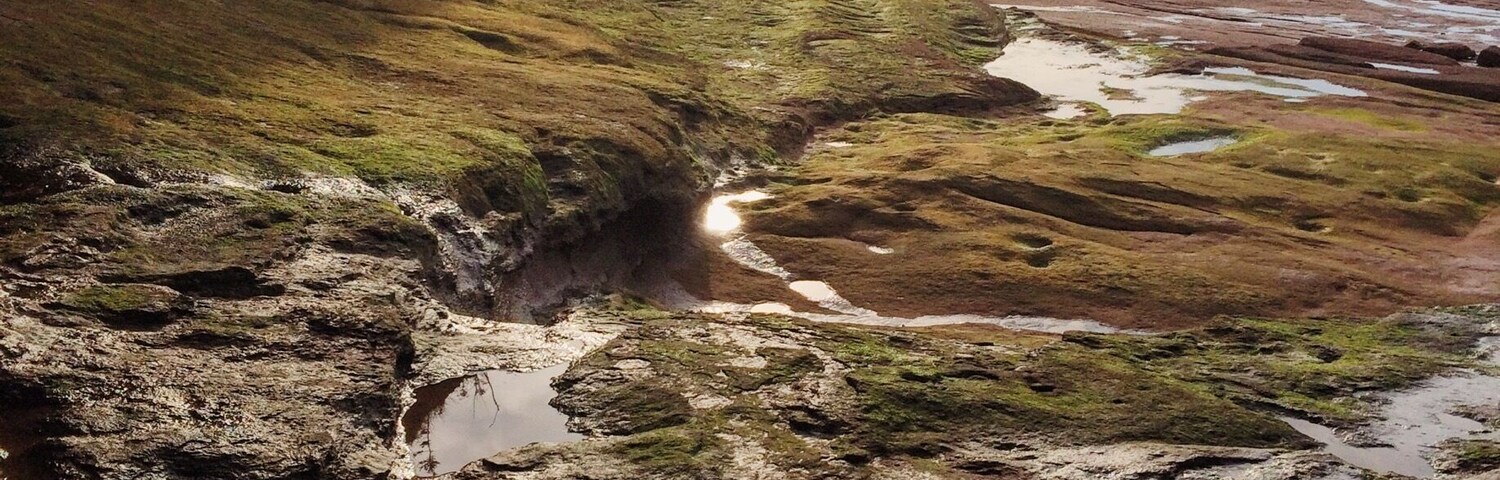 Across the fundy bay from Economy you'll find burntcoat head park. Experience the biggest tides in the world, and walk on the ocean floor. Check the tide schedule before you go!