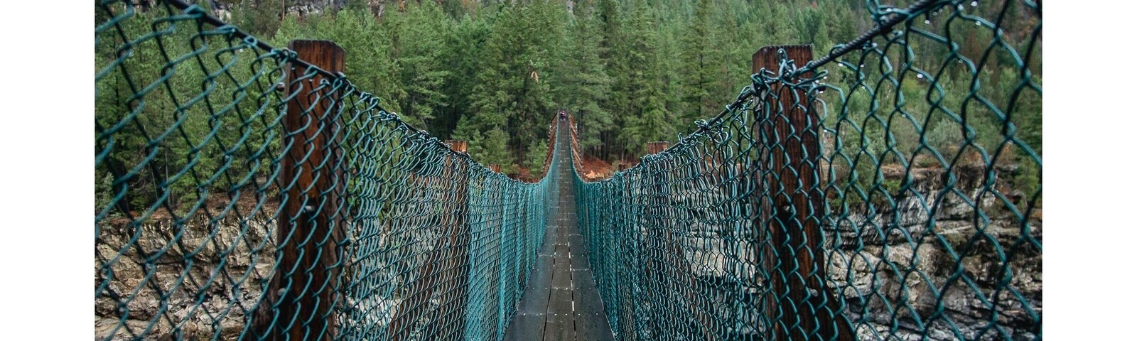 Swinging bridges are a beautifully rare thing #Adventure