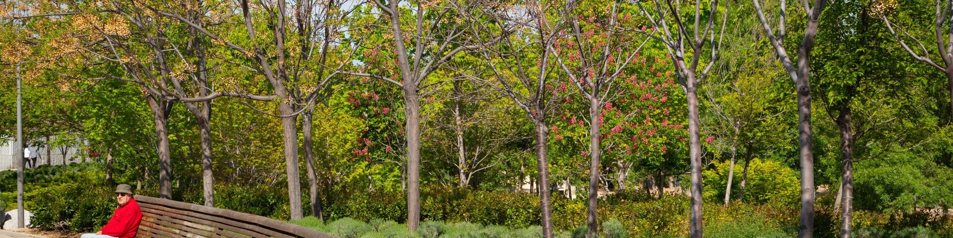 Madrid Rio featuring a park as well as an individual male