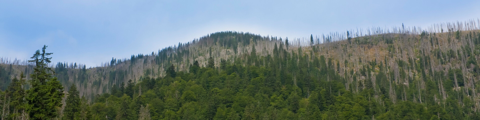 Lake Rachel, Rachel, Bavarian Forest Nationalpark