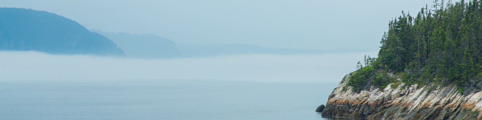 Sentier de la Pointe-de-l\'Islet featuring mist or fog and a river or creek