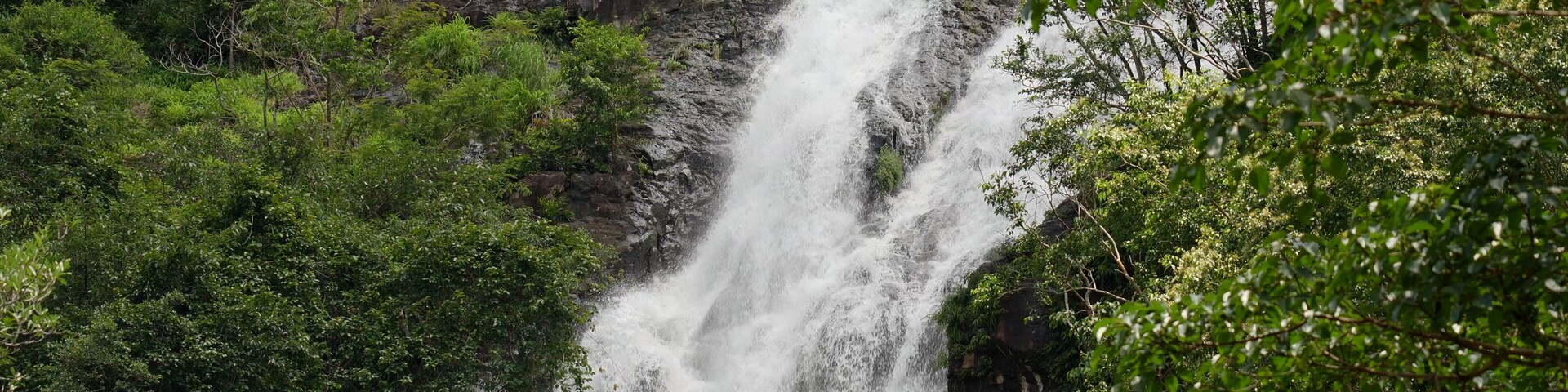 Uma cascata cercada por folhagem verde densa.
