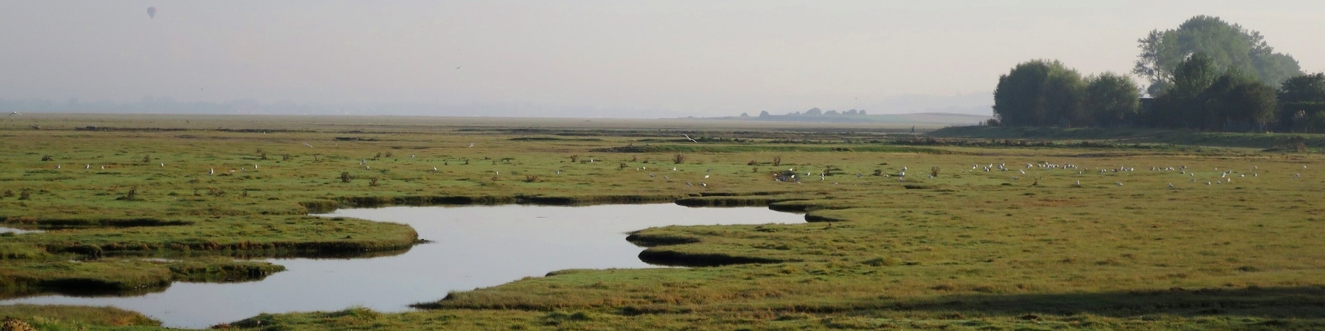 Polder Saint Michel