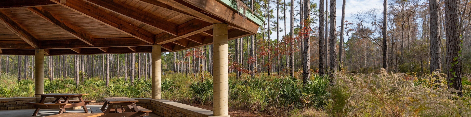 Conservation Park featuring forest scenes and a garden