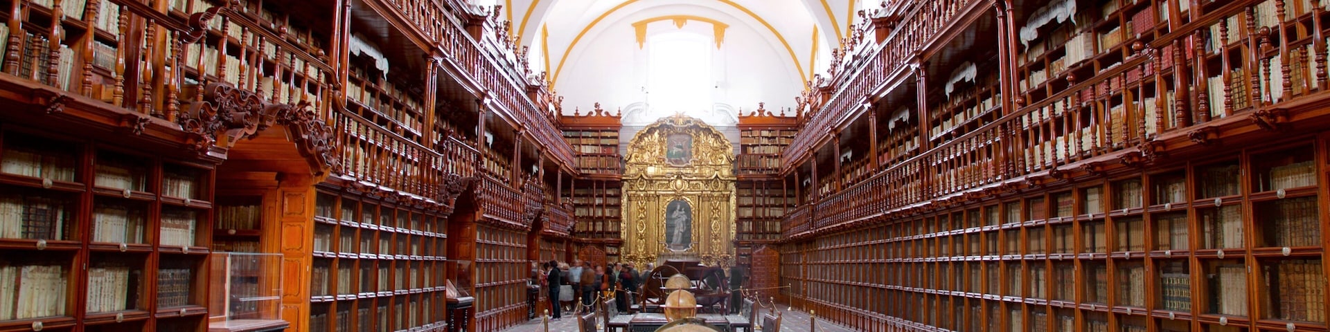 Palafoxiana Library showing interior views and heritage elements