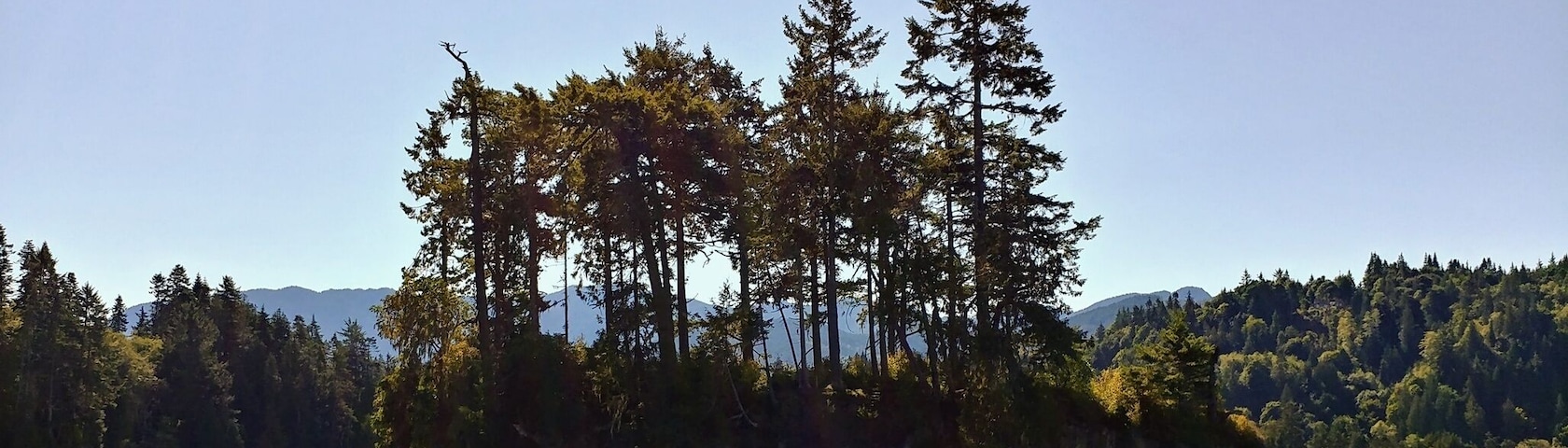 Another tree lined sea stack on an inlet at Salt Creek Recreation Area near Port Angeles.
