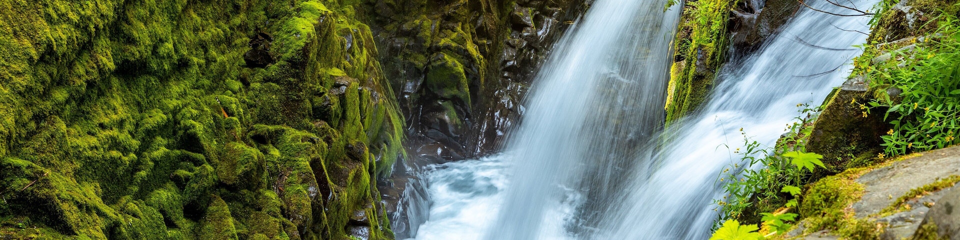 Sol Duc Falls which includes a waterfall and a river or creek