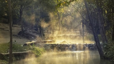 Uma floresta nevoenta com uma pequena cascata e uma ponte de pedra.