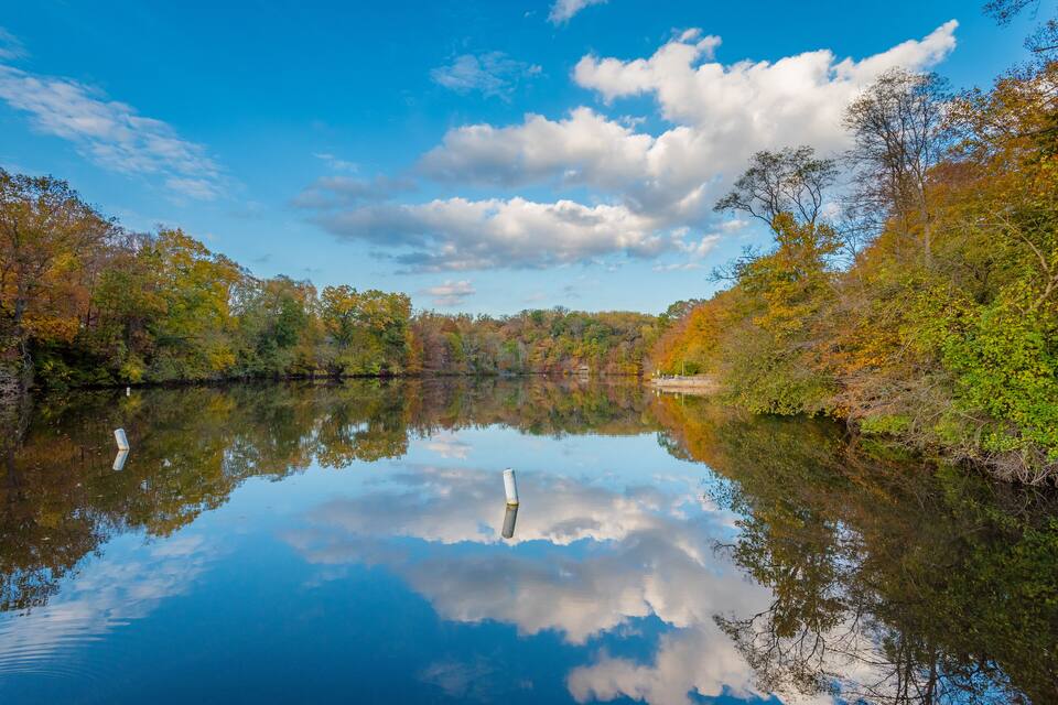 Um lago calmo refletindo árvores e o céu.