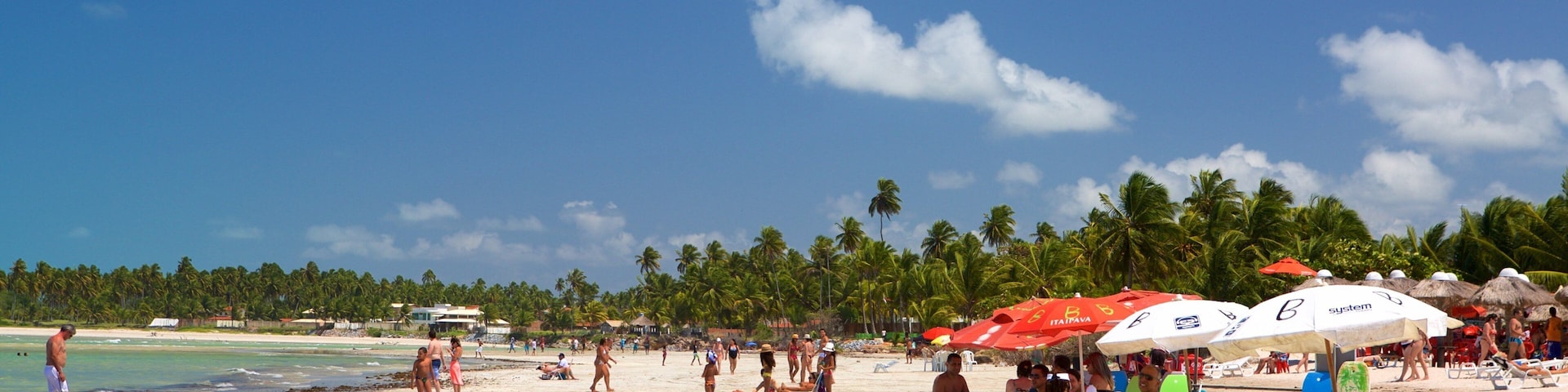 Praia de Paripueira mostrando uma praia, paisagens litorâneas e cenas tropicais