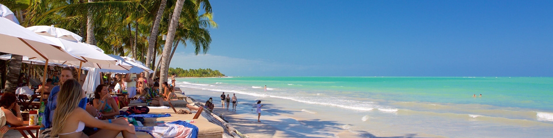 Maceio showing a luxury hotel or resort, a beach and tropical scenes