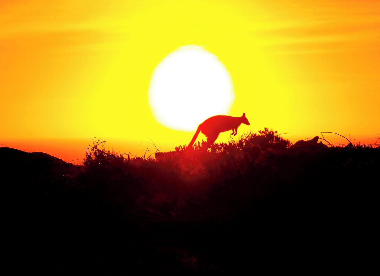 We came to this amazing spot to enjoy the sunset and it's fair to say it didn't disappoint - especially when this little wallaby jumped around in front of my lens!
#LifeAtExpedia