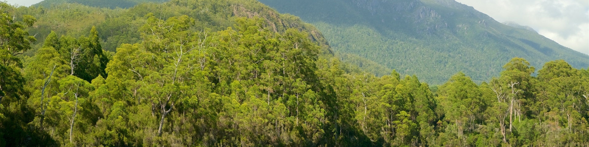 Midlands que inclui montanhas, cenas tranquilas e um lago ou charco