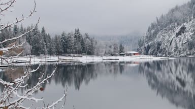 Uma paisagem invernal tranquila com um lago calmo, árvores cobertas de neve e uma pequena cabana à beira da margem.