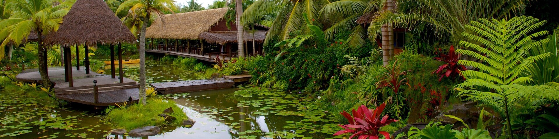 Te Vara Nui Village showing a small town or village and a pond