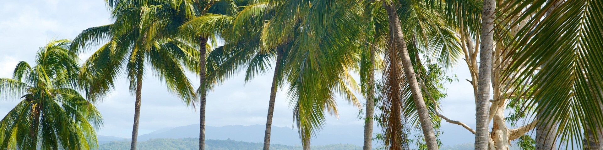Anzac Park which includes general coastal views and tropical scenes