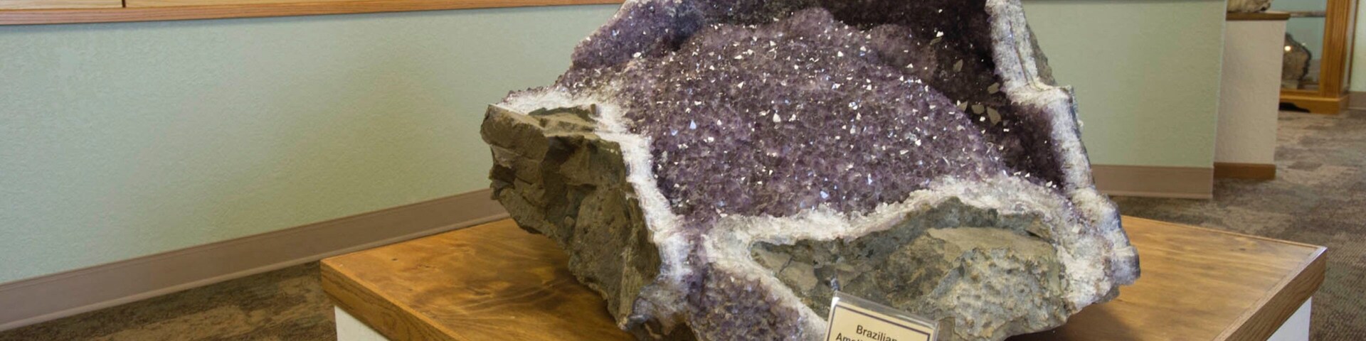 Petrified Wood Gallery featuring interior views and a statue or sculpture