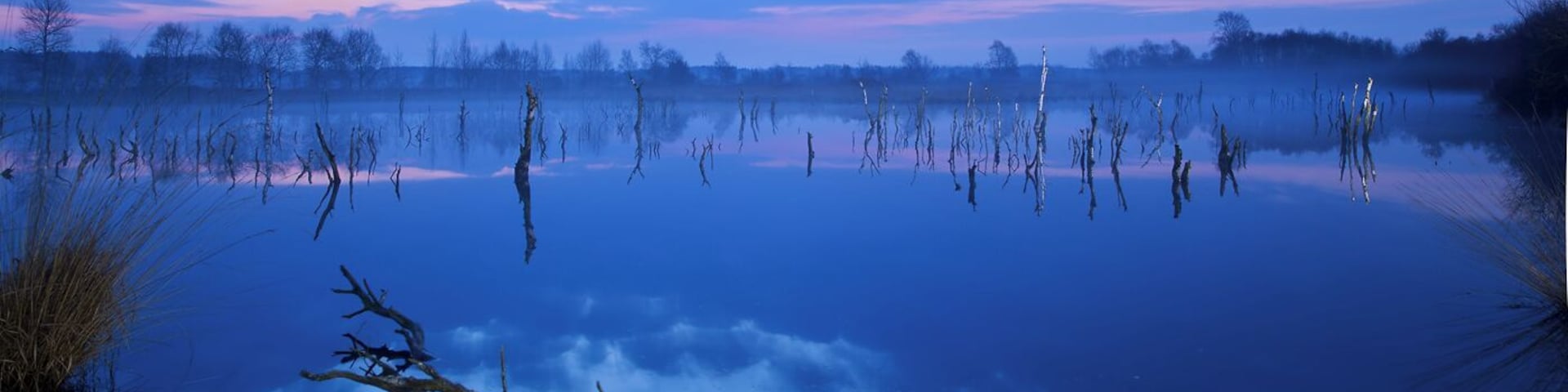 Das Südliche Hagener Königsmoor (NSG LÜ 075) war ein Torfabbaugebiet, das später geflutet wurde um die Flächen zu renaturieren. Es wurden große Wiedervernässungsflächen für Tier- und Vogelwelt geschaffen.