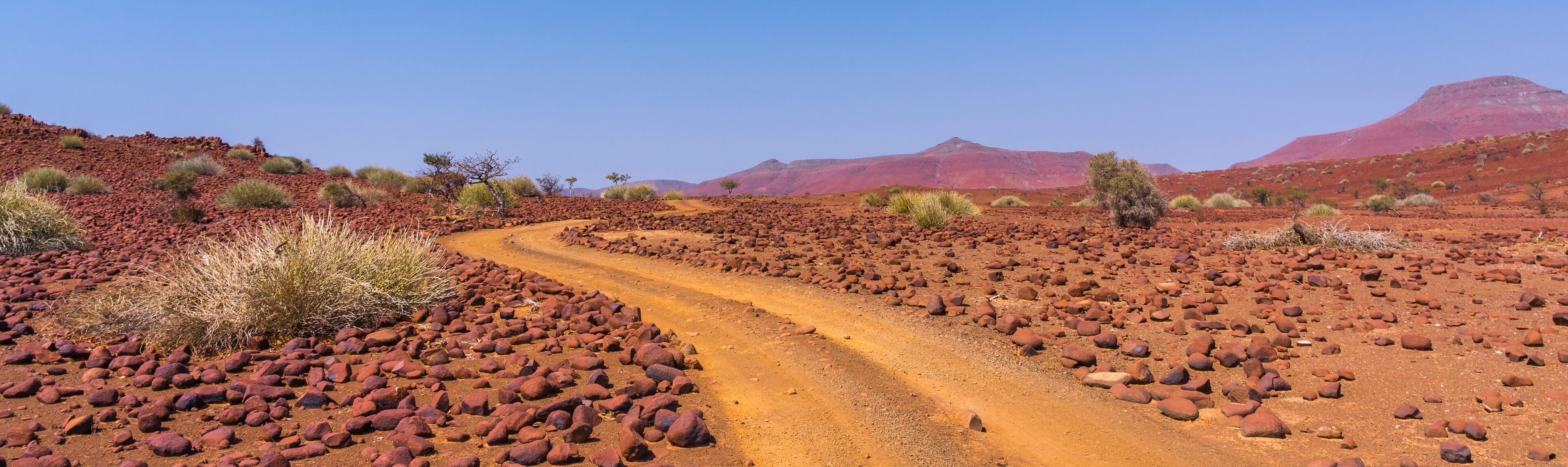 Um caminho de terra sinuoso atravessa uma paisagem desértica avermelhada, com vegetação escassa e montanhas ao longe.