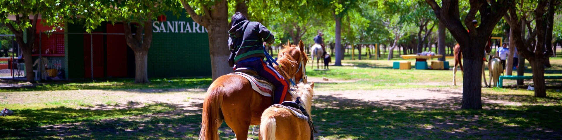 Parque Público Federal El Chamizal