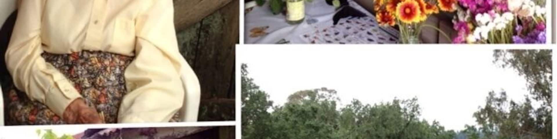 Nice afternoon visiting the Butterfly gardens. Rambling acres dedicated to butterflies. Mrs. H was born and raised and still lives here - 90-some years old. Very cool old barns.