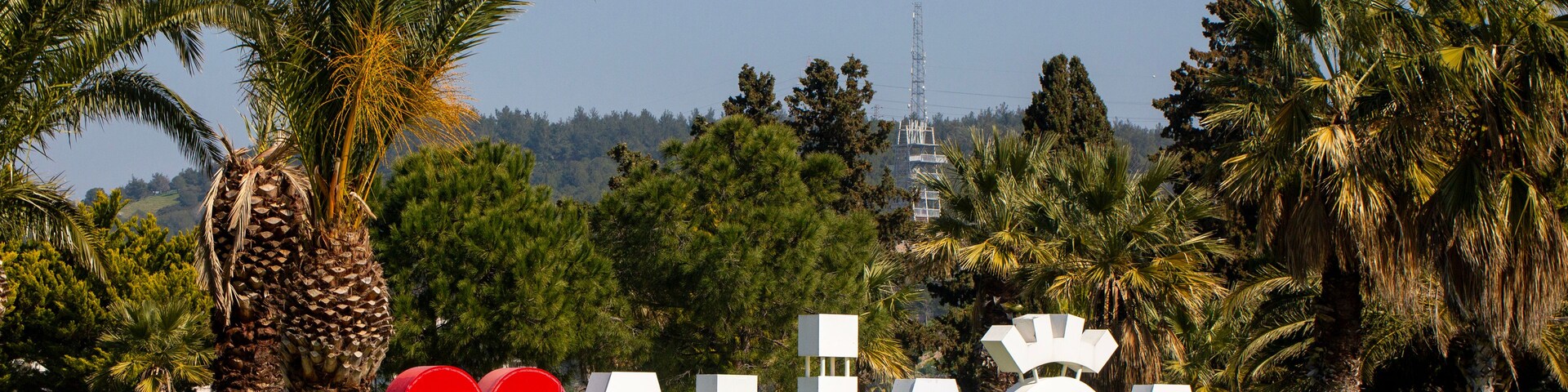 Placa com a palavra 'ALIAGA' e um símbolo de coração vermelho, cercada por palmeiras e vegetação.
