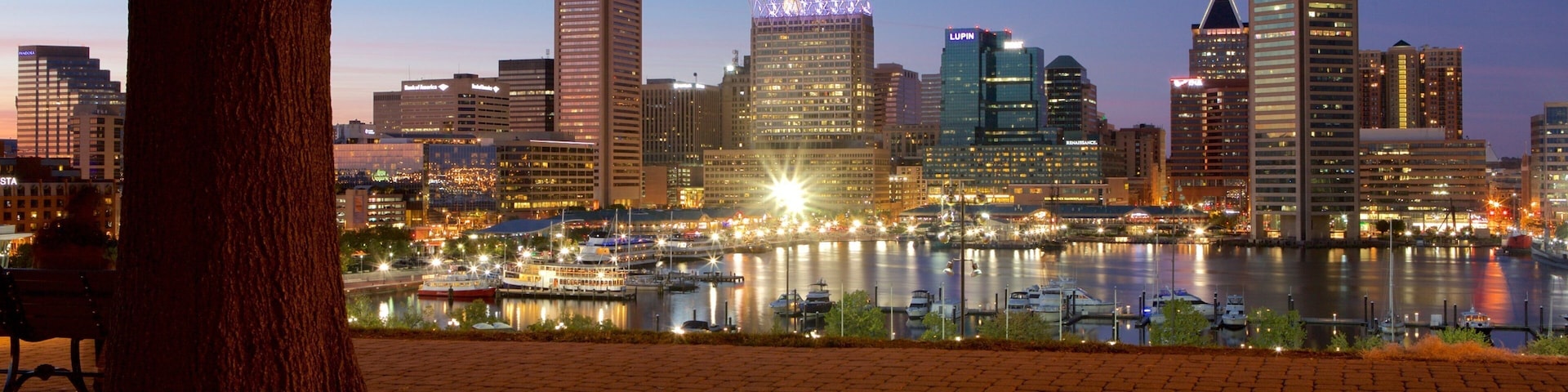 Federal Hill Park que inclui uma baía ou porto, cenas noturnas e uma cidade