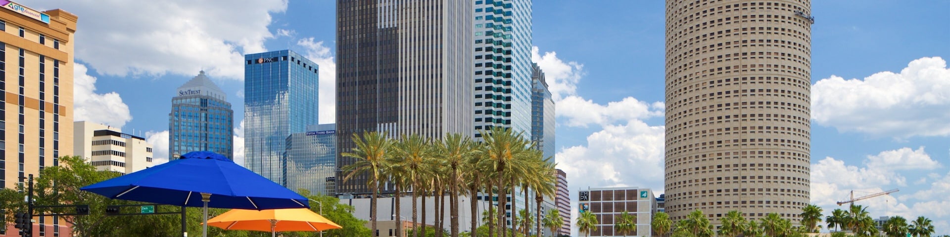 Curtis Hixon Waterfront Park