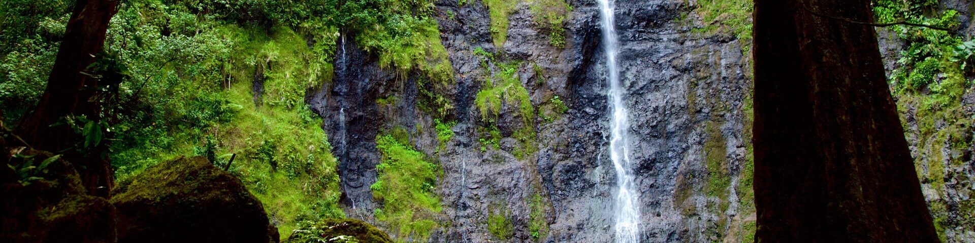 Faarumai Waterfalls which includes a cascade