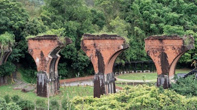 Uma série de arcos de tijolo em meio a vegetação exuberante.