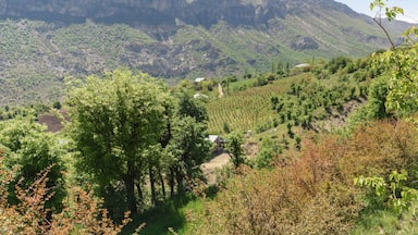 Paisagem montanhosa com vinhedo e uma pequena casa.