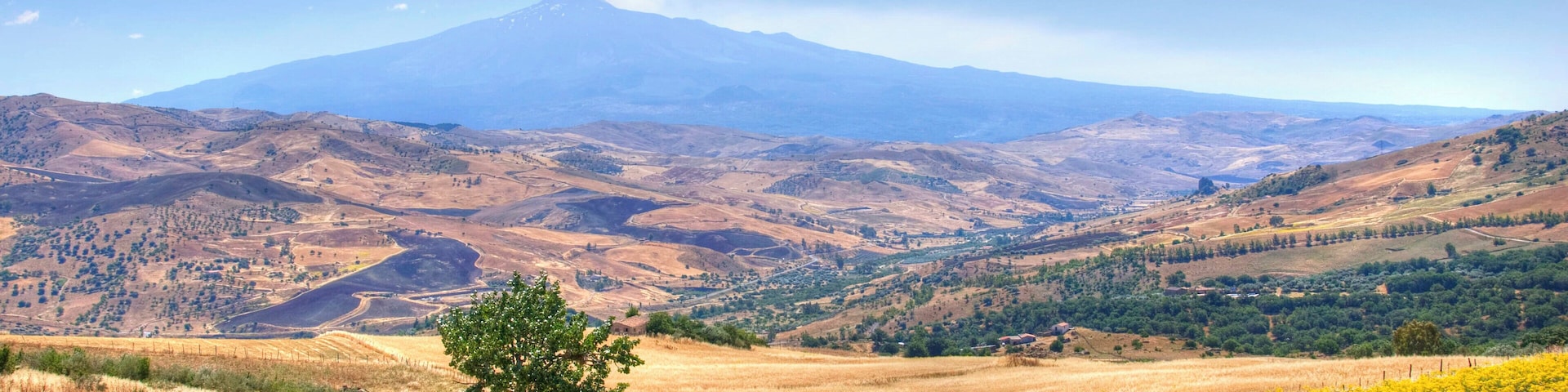 Troina L'etna dalle campagne, a giugno