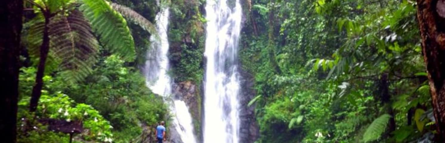 The waterfall looks so enticing and fresh after the big rainfall.
#waterlust