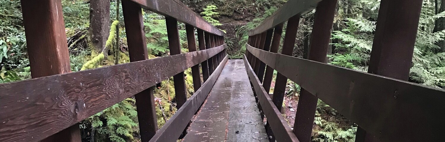 Bridge along the Clackamas River Trail, Oregon