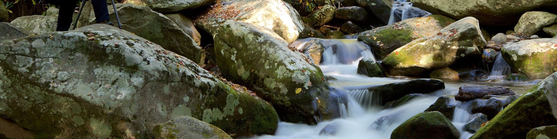 Great Smoky Mountains National Park mostrando um rio ou córrego assim como um homem sozinho