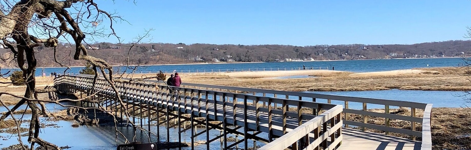 The wooden board extends toward the a mini beach where is quite and peaceful you want to stay all day long for relaxation if it is not in winter season. At the both sides of the border, looking down throwing the crystal water, you can observe the clusters of oysters. #TroveOn Tuesday #natural #beach