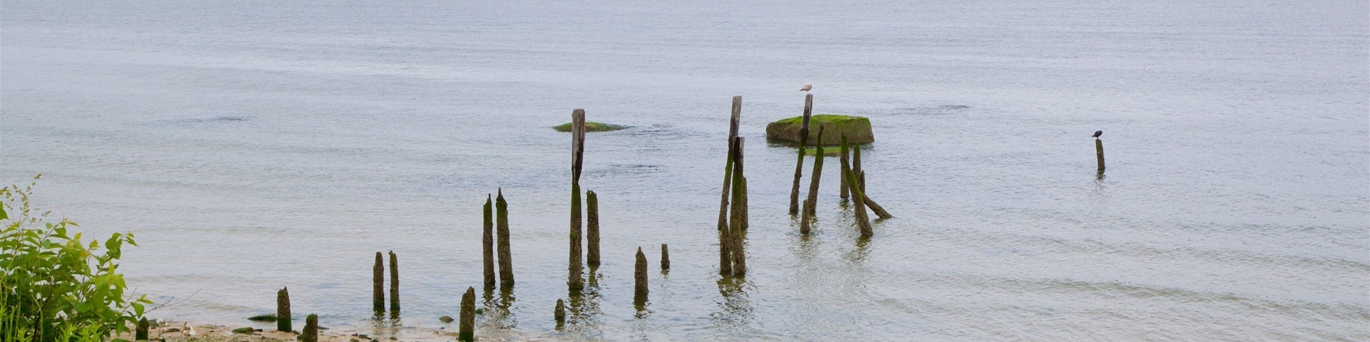 Sands Point Preserve