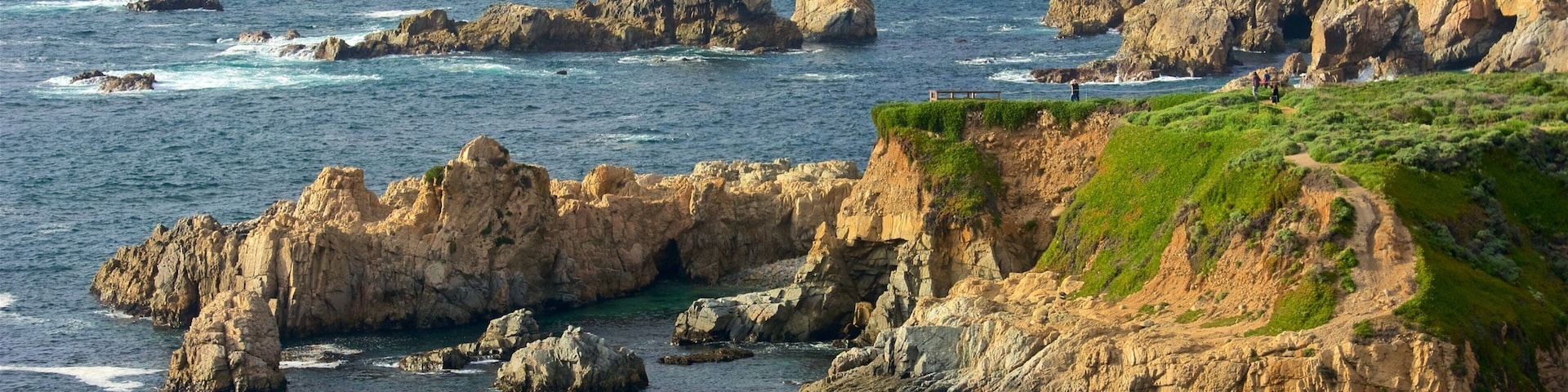 Garrapata Beach que inclui litoral acidentado