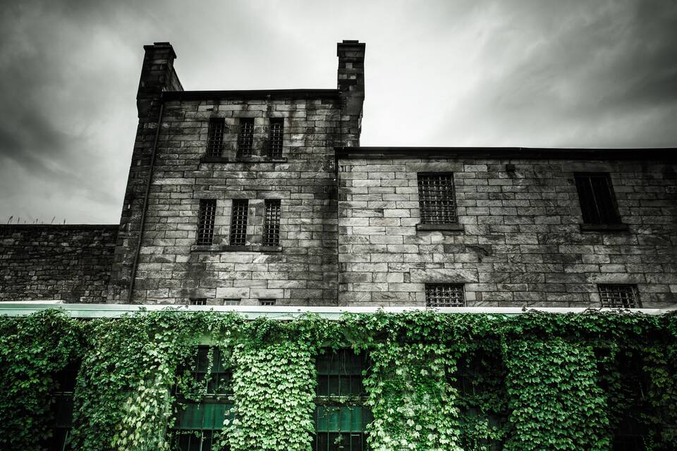 Um edifício de pedra com hera verde cobrindo a parte inferior e um céu nublado.