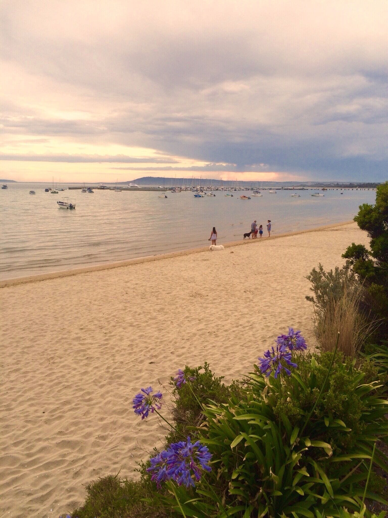 "Eastern Glow"
The beach at Blairgowrie last evening.  
The horizon spur is Arthurs Seat and below that is the Blairgowrie Yacht Squadron marina and harbour all on Port Phillip Bay. 
Access is so much easier now with the recently built Mornington Peninsula Freeway.
#GoldenHour
#Summer day #roadtrip
#iPhone5s
Shades of the rainbow #blue!