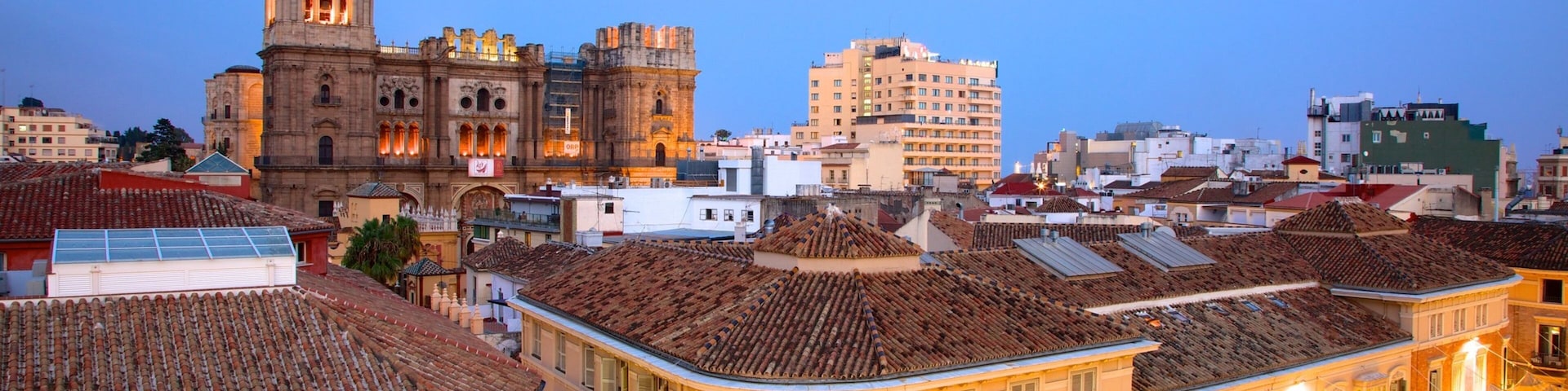 Centro histórico de Málaga que inclui cenas noturnas, arte ao ar livre e arquitetura de patrimônio