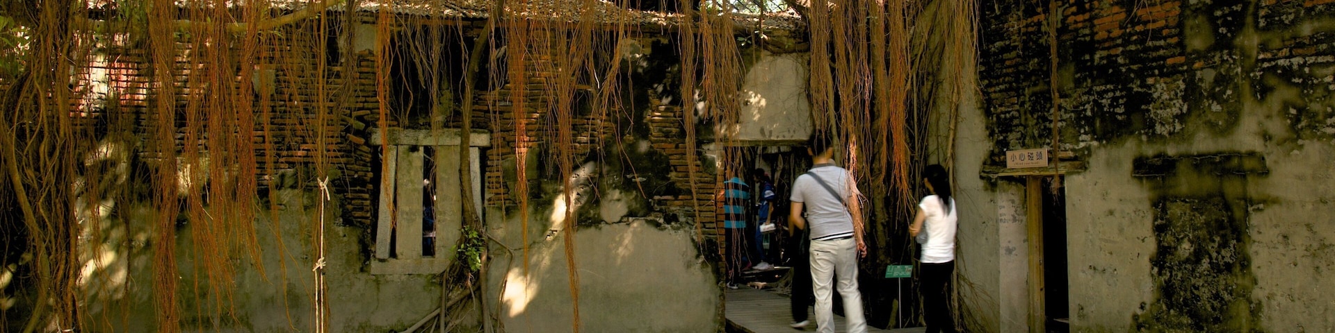Casa na árvore de Anping