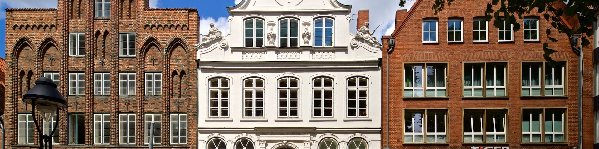 Buddenbrooks House featuring heritage elements