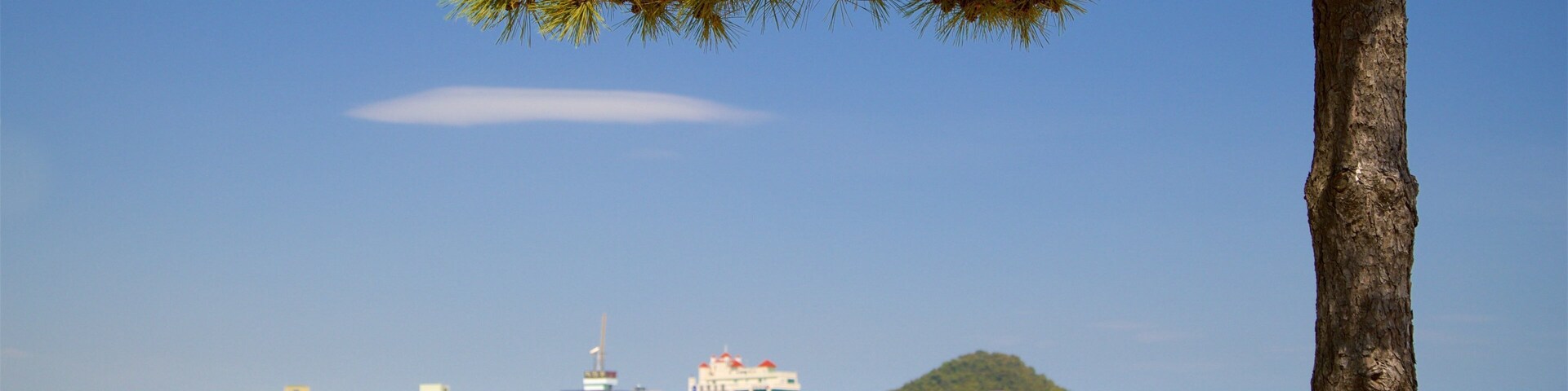 Uma praia com o horizonte de uma cidade ao fundo, céu claro e uma árvore destacada em primeiro plano.