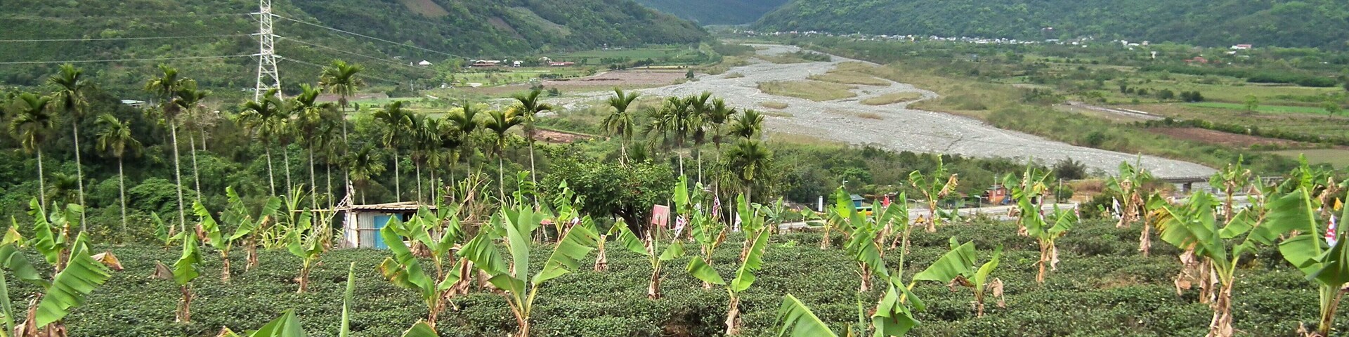 Um vale exuberante com bananeiras e um rio.
