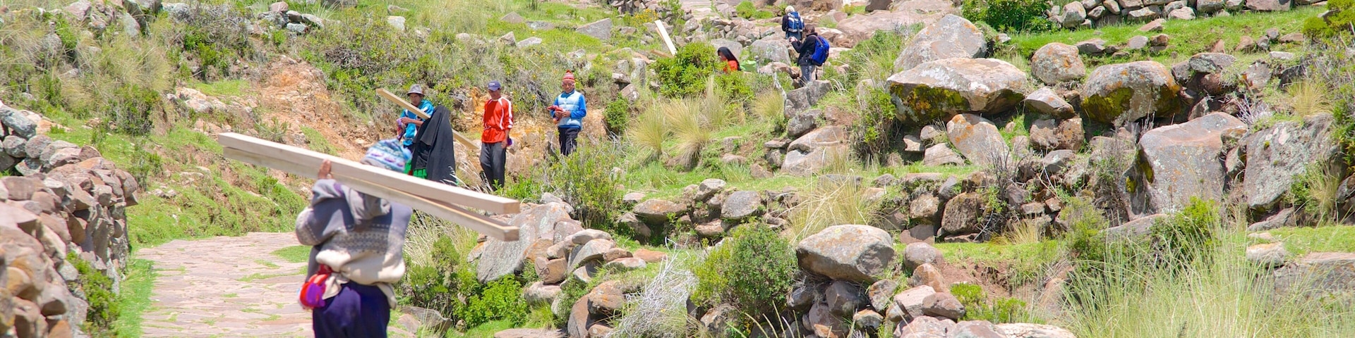 Isla Taquile featuring tranquil scenes as well as a small group of people